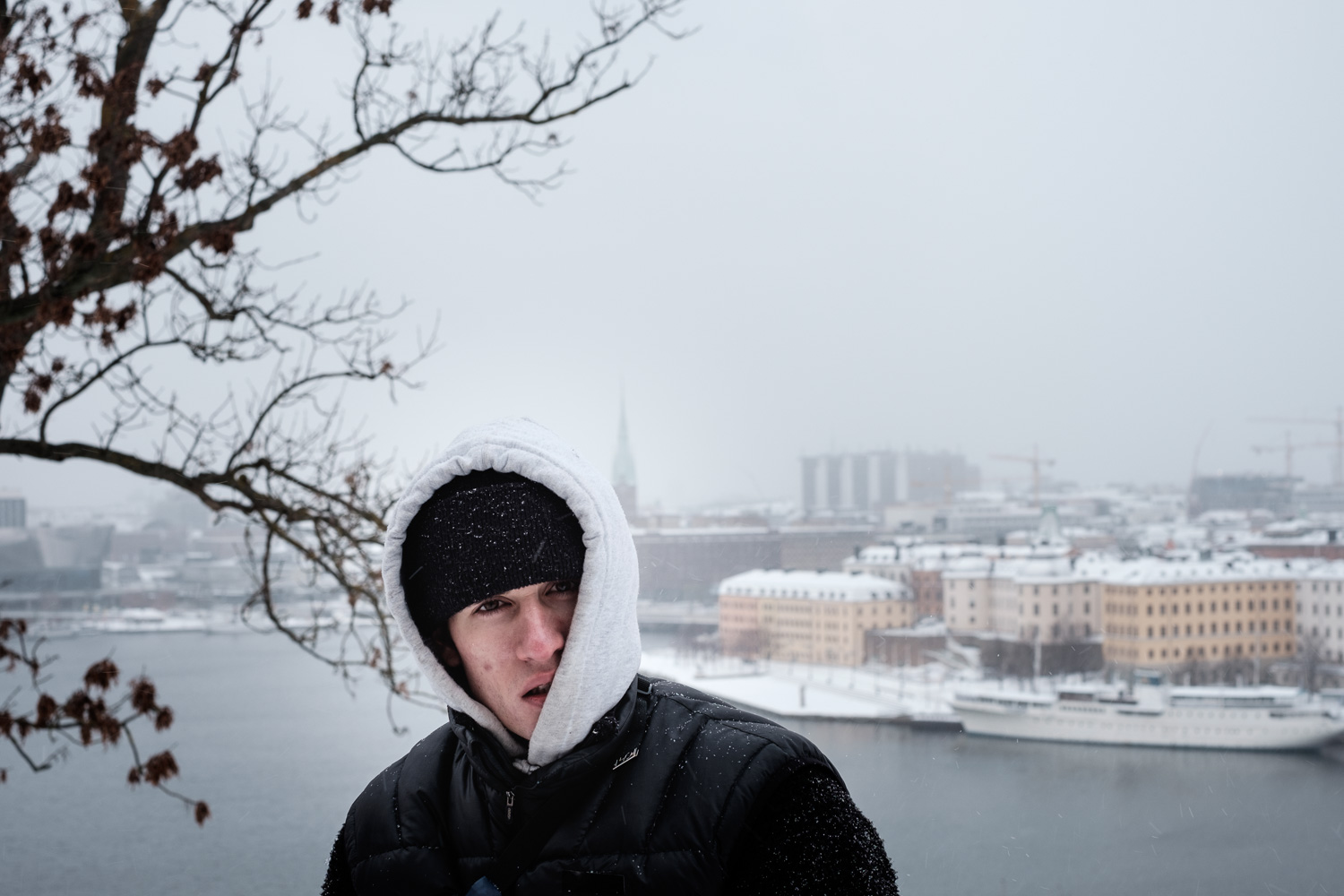 david stenstrom polar skateboards history pontus | BOARD RAP