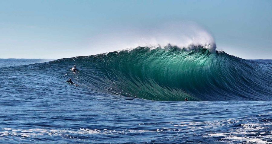 secret new england surf slab perfect wave sharks | BOARD RAP